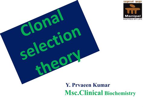 Clonal Selection Theory Pptx Clonal Selection Theory Pptx