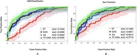 A Transformer Model For Learning Spatiotemporal Contextual Representation In Fmri Data Network