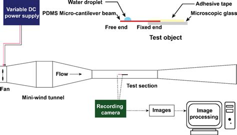 Schematic Of Experimental Setup Download Scientific Diagram