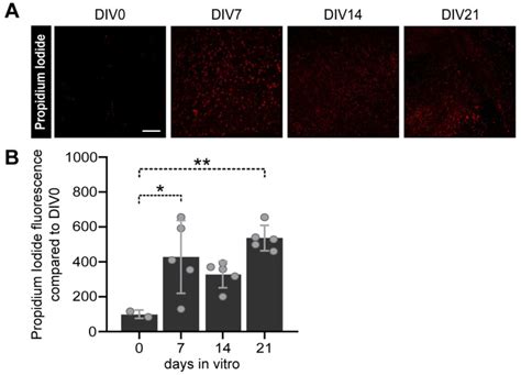 Early Age And Sex Dependent Regulation Of Astrocyte Mediated