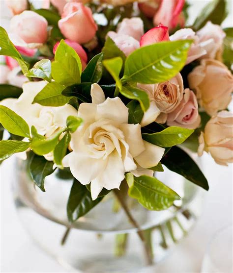 Kwiaty Cięte Wyjątkowe Kompozycje Z żywych Kwiatów