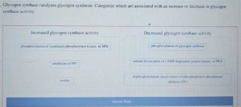 Solved Glycogen Synthase Catalyzes Glycogen Synthesis