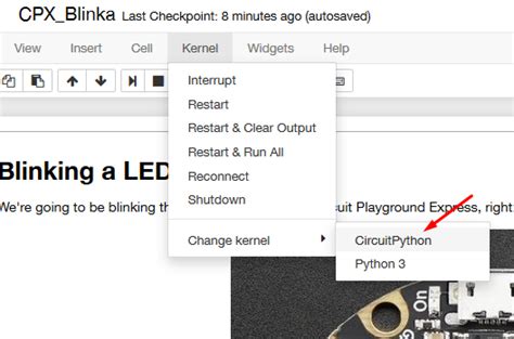 Using Jupyter Notebooks Circuitpython With Jupyter Notebooks