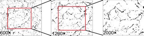 sem images after segmentation download scientific diagram