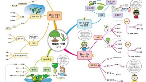 4학년 2학기 과학 식물의 생활 01