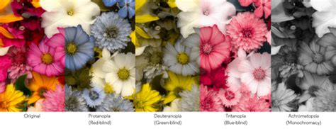 Life With Colour Vision Deficiency