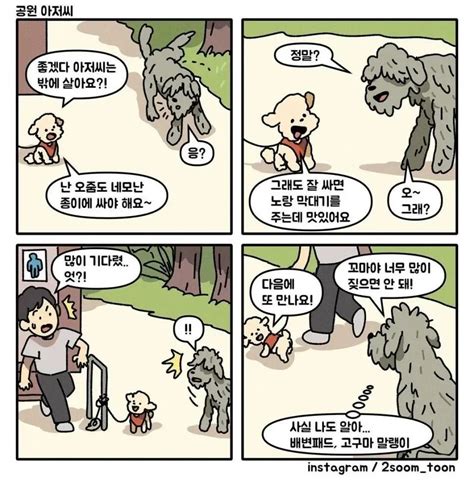 공원 아저씨 만화 유머움짤이슈 에펨코리아