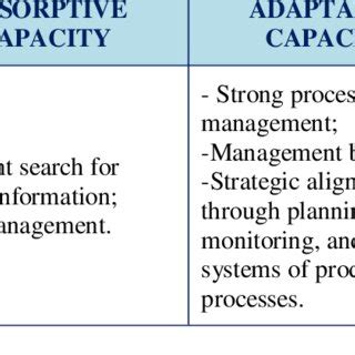 Company B Dynamic Capabilities Download Scientific Diagram