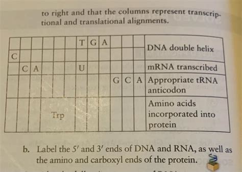 solved a use the codon table in figure 9 8 to complete the