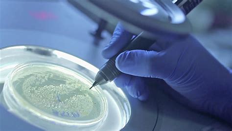 Join Our Team Sathees C Raghavan