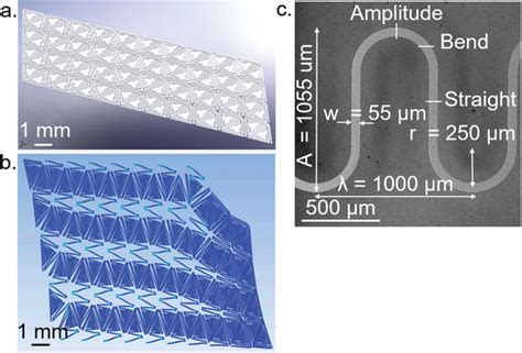 Schematic Cell Design Of Synclastic Stretchable Structure Using Download Scientific Diagram