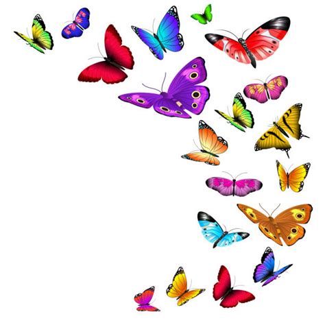 6 800 Dessin De Papillon En Couleur Stock Illustrations Graphiques