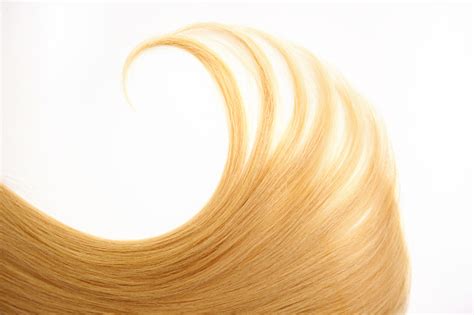 황금 곱슬 머리 흰색 배경에 고립입니다 금발 또는 빨간 머리의 가닥 헤어 케어 금 금속에 대한 스톡 사진 및 기타 이미지 금 금속 금발 머리 금색 Istock