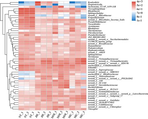 Heatmap Of Bacterial Communities In Different Sampling Subareas At The