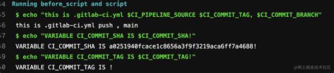 Gitlab CICD自动构建 gitlab ci yml详细配置解读 掘金