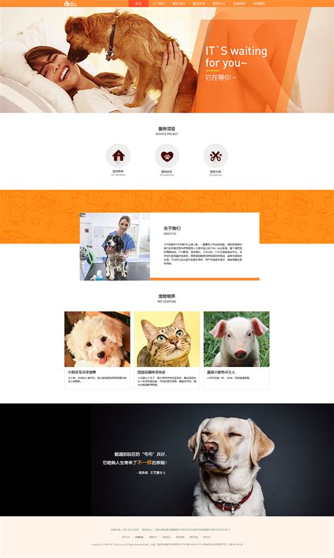 宠物网站设计（平面图原型图）纪lm 站酷zcool