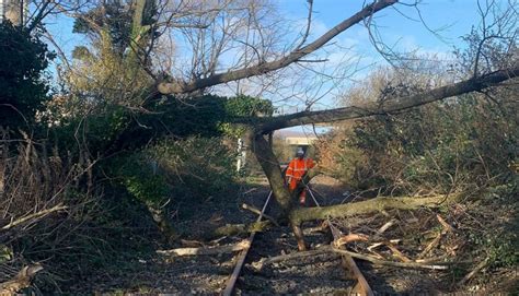 Network Rail Surveying Lineside Trees In Wales To Improve Safety And Biodiversity