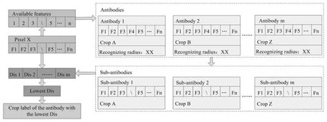Early Season Crop Mapping Using Improved Artificial Immune Network Iain And Sentinel Data [peerj]