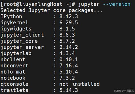 linux系统远程连接jupyter liunx jupyter远程访问 csdn博客