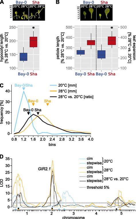 Quantitative Trait Locus Analysis Of Temperature Induced Growth