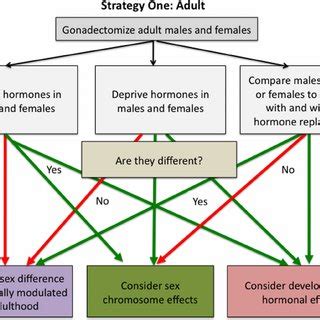 Impact Of Female Cyclical Reproduction On Sex Differences Download Scientific Diagram