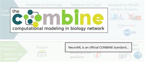 Neuroml — Neuroml Documentation