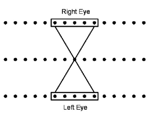 Neural Network Model With A Limited Receptive Field Download High Resolution Scientific Diagram