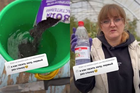 Ви все життя використовували золу для підгодівлі не правильно