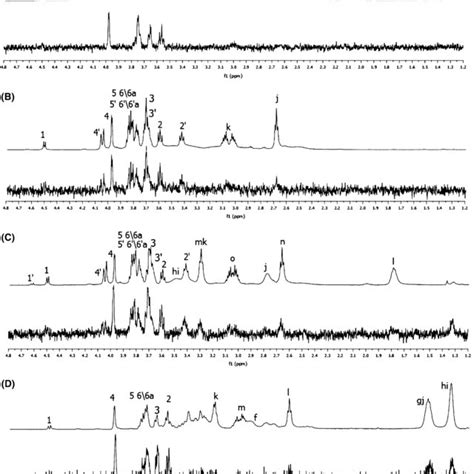 One Dimensional H NMR Top And Saturation Transfer Difference STD Download Scientific