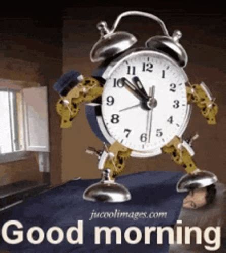 Good Morning  Good Morning Funny Discover And Share S