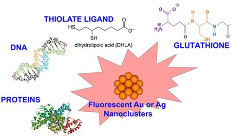 Atomically Precise Clusters Of Gold And Silver A New Class Of Nonlinear Optical Nanomaterials