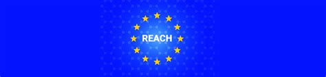 Eu Reach Regulation Explained Eurofins Softlines And Leather