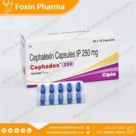 Cephadex Cephalexin Capsule At ₹ 288stripe Cephalexin Capsule In