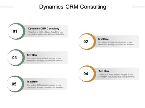 Dynamics CRM Consulting Ppt PowerPoint Presentation Show Graphic Images Cpb Pdf
