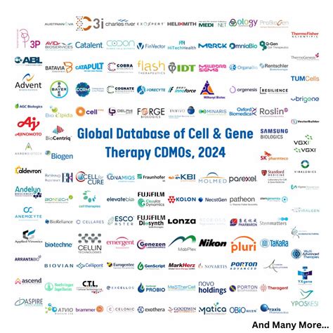 How Cdmos Are Boosting Cell And Gene Therapies Cade Hildreth B A M