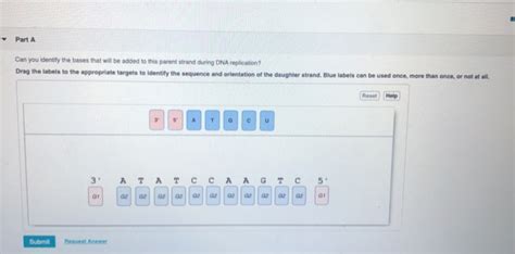 solved part b comparing rna and dna sort the parts of a