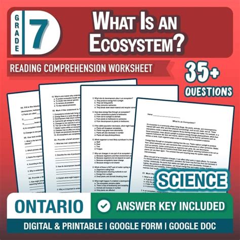 Classifying Structures Science Worksheet For Grade 7 Ontario By