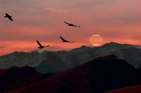 ლაგოდეხი 📌 Lagodekhi გამარჯობა ბინას ვეძებ ქირით გთხოვთ დამიდოთ კომენტარებ