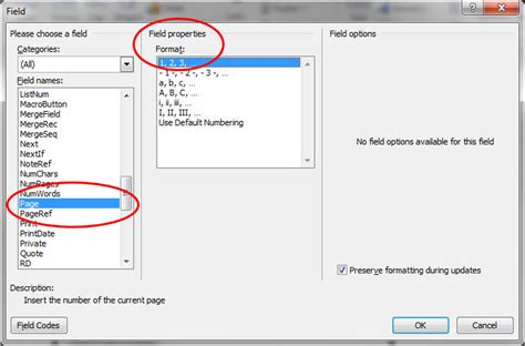 Hướng Dẫn Cơ Bản Về Field Code Trong Microsoft Word