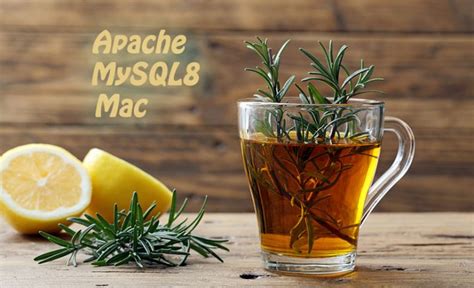 Macにmysql x をインストールする 萩原賢二のコーディングストック