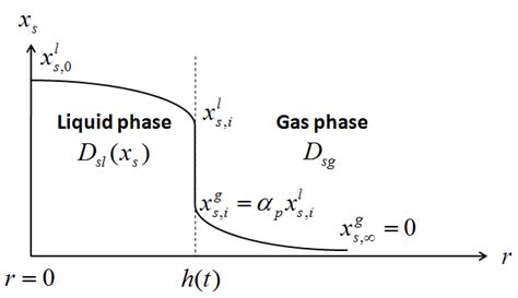 schematic diagram of the diffusive mass transfer problem for an axial