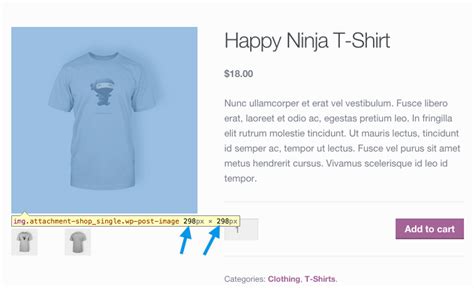 Common Woocommerce Issues And How To Fix Them