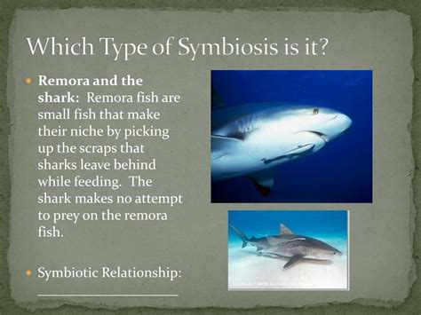 Ppt Community Ecology Powerpoint Presentation Free Download Id1951651