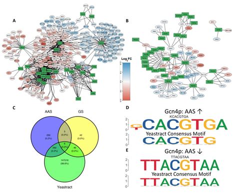 Inferred Gene Regulatory Networks For Stress Induced Transcriptional