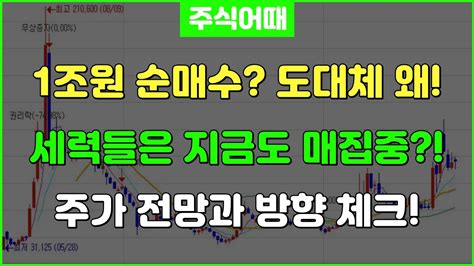 에코프로에이치엔 에코프로 1조원 순매수 도대체 왜 세력들은 지금도 매집중 주가 전망과 방향 체크 Youtube