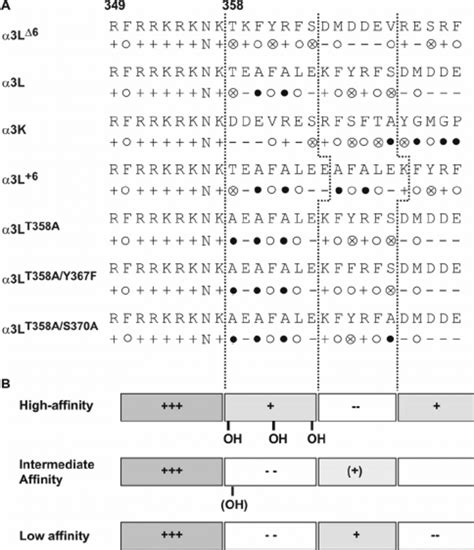 Sequence Alignment And Chemical Properties Of The Splice Site In Glyr