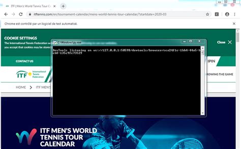 Extracción De Datos Web Con Python Y Selenium