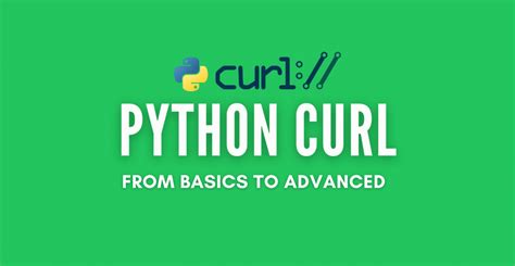 A Guide To Python Curl From Basics To Advanced — Rapidseedbox