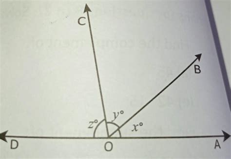 This Is The Picture Of Question 19 Brainly In