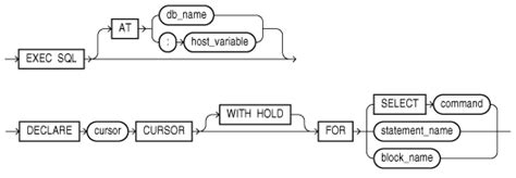 Embedded Sql Statements And Precompiler Directives